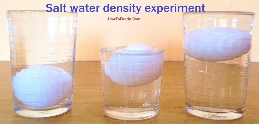 How To Perform Water Density Science Experiment DIY Science How To Perform Water Density Science Experiment DIY Science