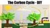how to make Carbon Cycle Model – School science exhibition project ...