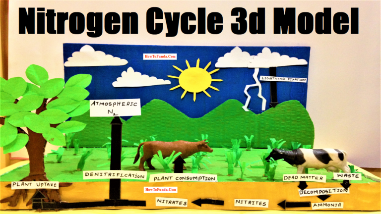 Top 10 Best Still Models for School Science Exhibition - Science ...