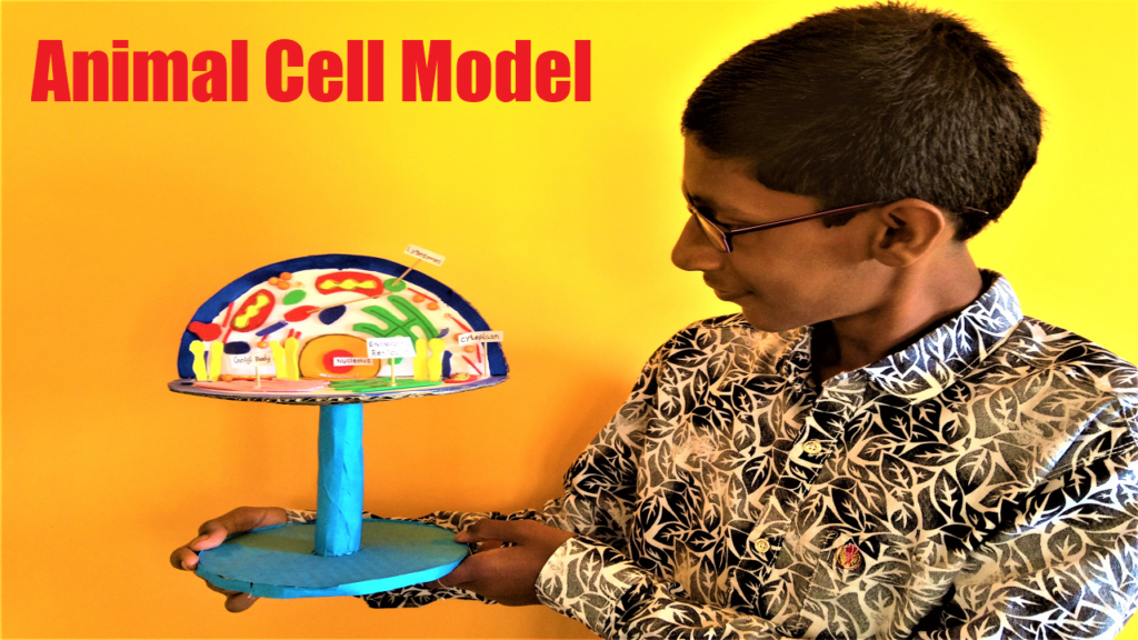 Science exhibition themes – Free Science | Maths | English | Physics ...