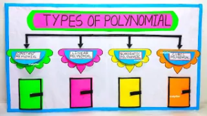 maths working model on polynomials - types of polynomials - tlm - diy ...
