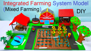 integrated farming system (IFS) model project (mixed crop ) for science ...
