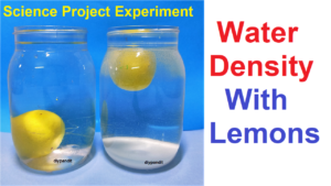 Water Density Experiments with lemon – Science project for exhibition ...