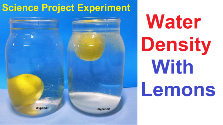Water Density Experiments with lemon – Science project for exhibition ...