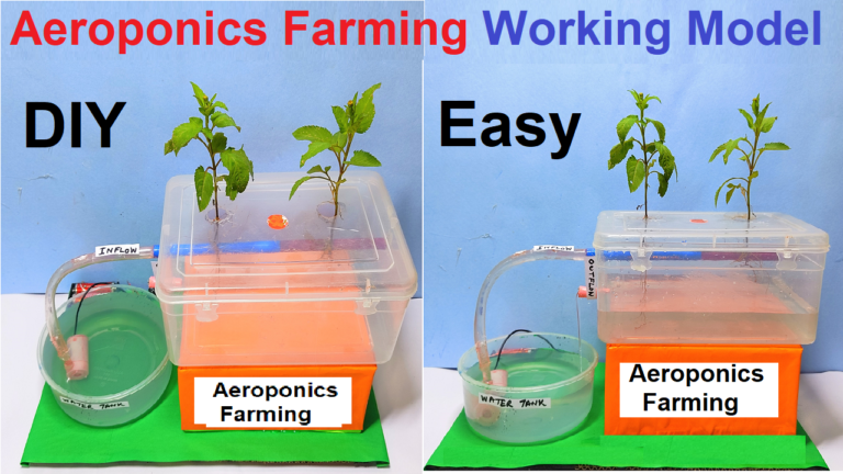 aeroponics farming working model with real plants – agriculture types ...