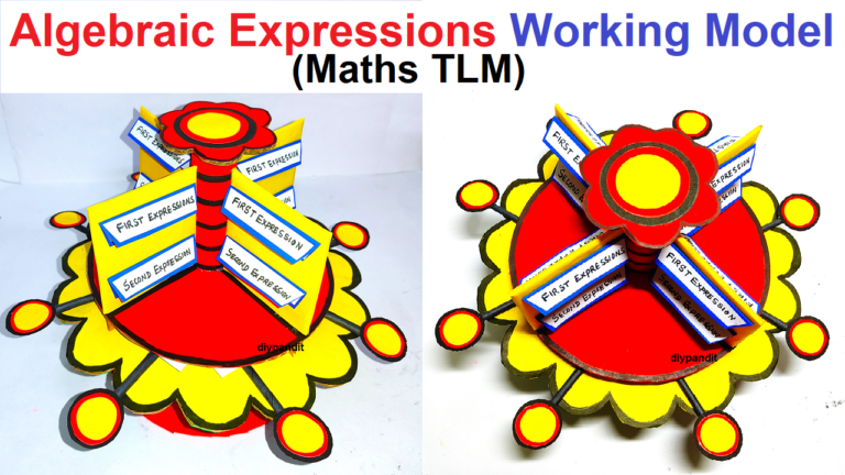 simple working model for algebraic expressions and their product ...