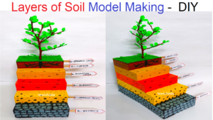 20 soil science project ideas suitable for school students - Science ...