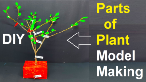 how to make parts of plant model 3d – innovative and creative project ...