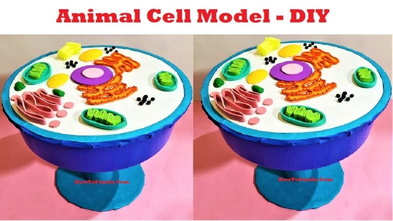 How to Explain Animal Cell Model in English - Science Projects | Maths ...