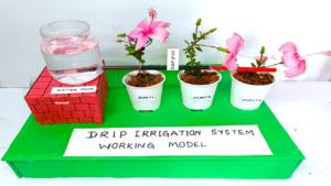 science project models - Science Projects | Maths TLM | English TLM ...
