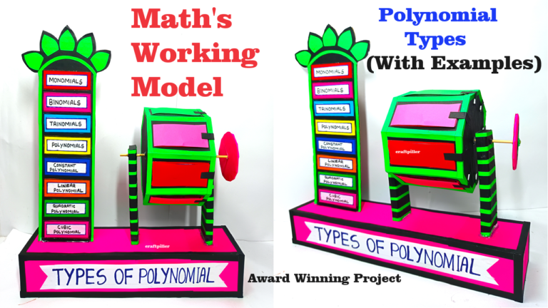 how to make maths working model on polynomials types – tlm – simple and ...