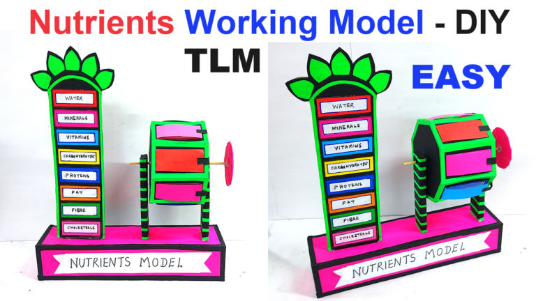 how to make working model of a nutrients chart - Science Projects ...