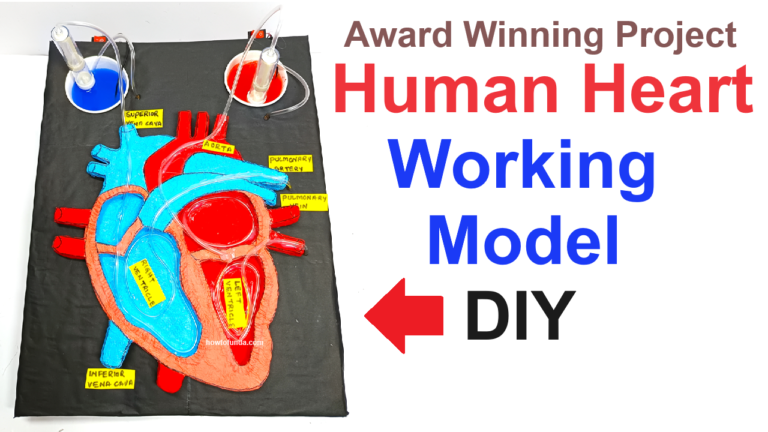 science project models - Science Projects | Maths TLM | English TLM ...