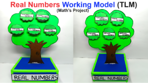 how to make working model of real numbers in a tree format - Science ...