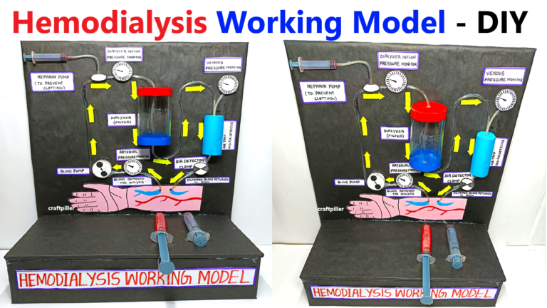 Class 10/ Grade 10 - Science Projects | Maths TLM | English TLM ...