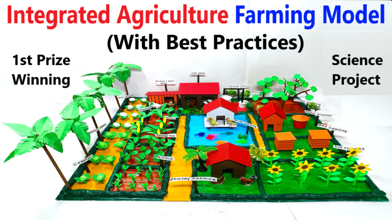 How to make Integrated Agriculture Farming Model - Science Projects ...