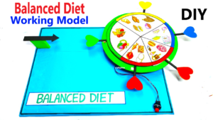 How to make Balanced Diet Working Model for Science Project Exhibition ...
