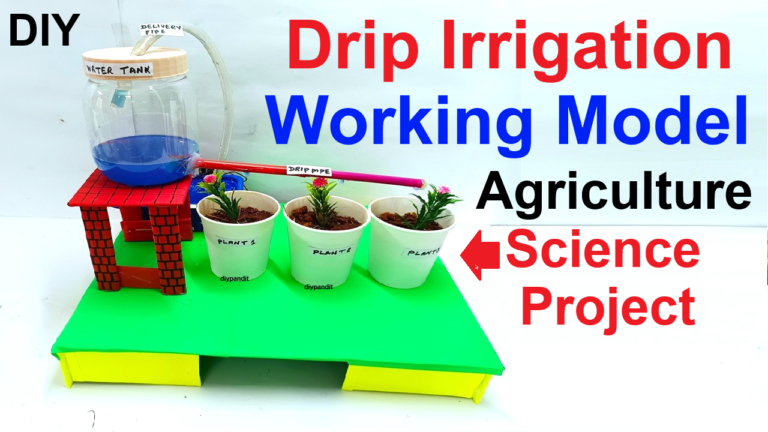 science project models - Science Projects | Maths TLM | English TLM ...