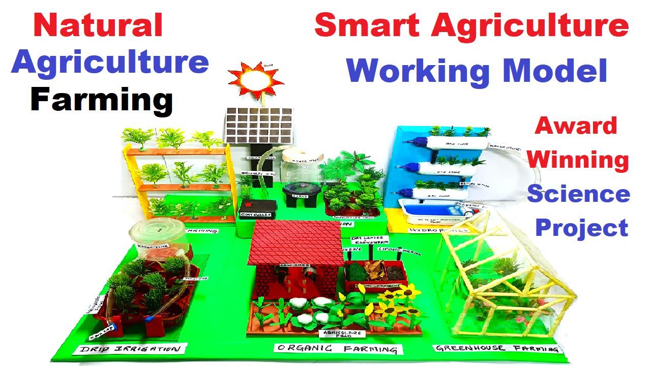 20 science working model ideas on Natural Farming for science ...