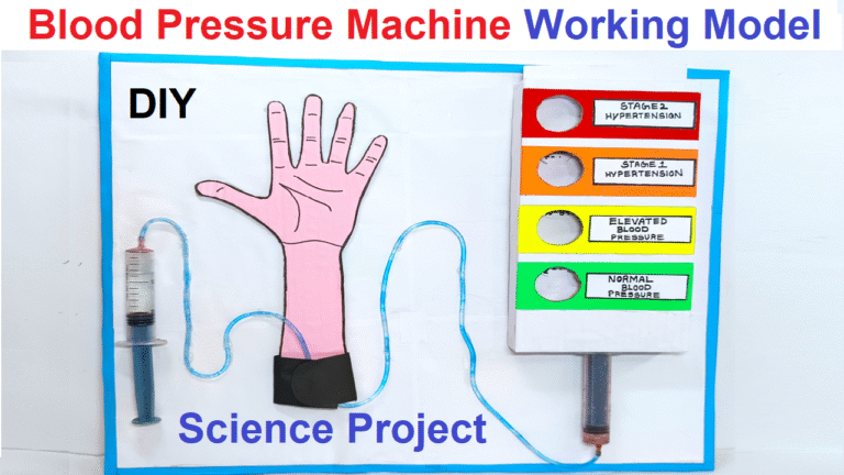 science project models - Science Projects | Maths TLM | English TLM ...