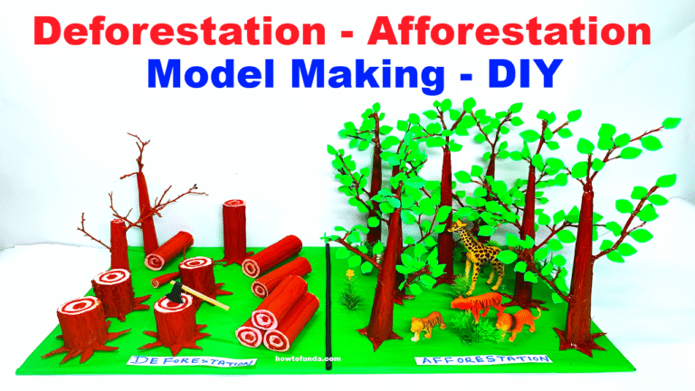 how to make afforestation and deforestation model - Science Projects | Maths TLM | English TLM ...
