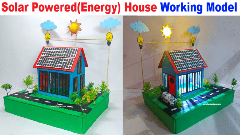 Science Projects | Maths TLM | English TLM | Physics Projects ...