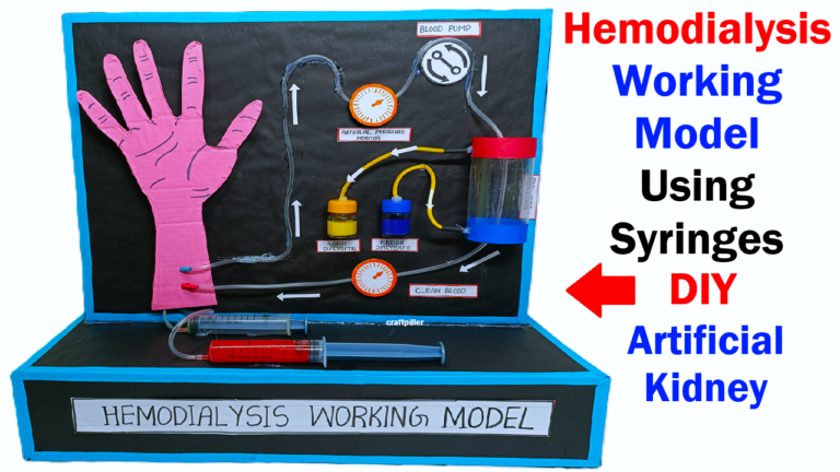 biology working models - Science Projects | Maths TLM | English TLM ...